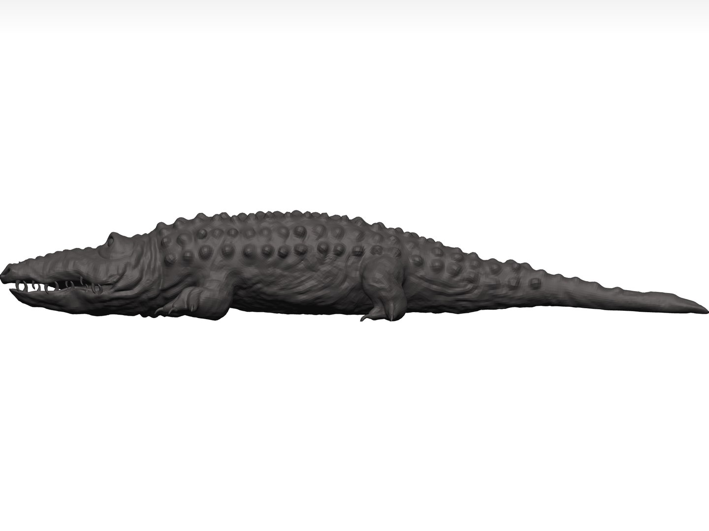 Alligator Stl 3D - TurboSquid 1773726