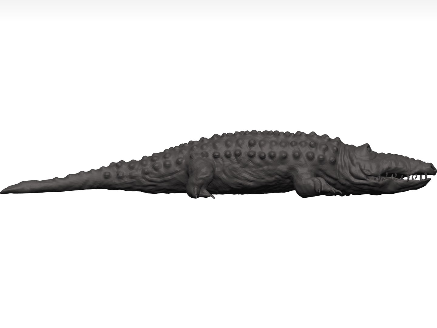 Alligator Stl 3D - TurboSquid 1773726