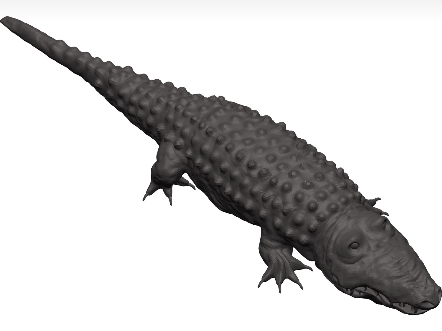 Alligator Stl 3D - TurboSquid 1773726