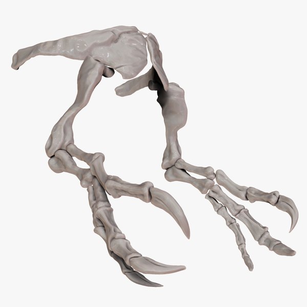 3D Spinosaururs Arm Set 2020 version Sculpt Project Sculpt Project ...