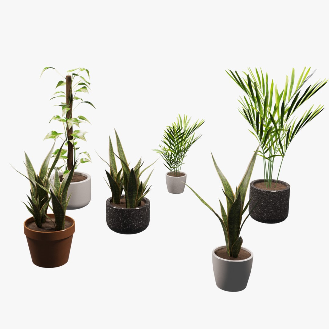 Free 3D Model Shapespark Low Poly Interior Plants Kit - TurboSquid 1901792