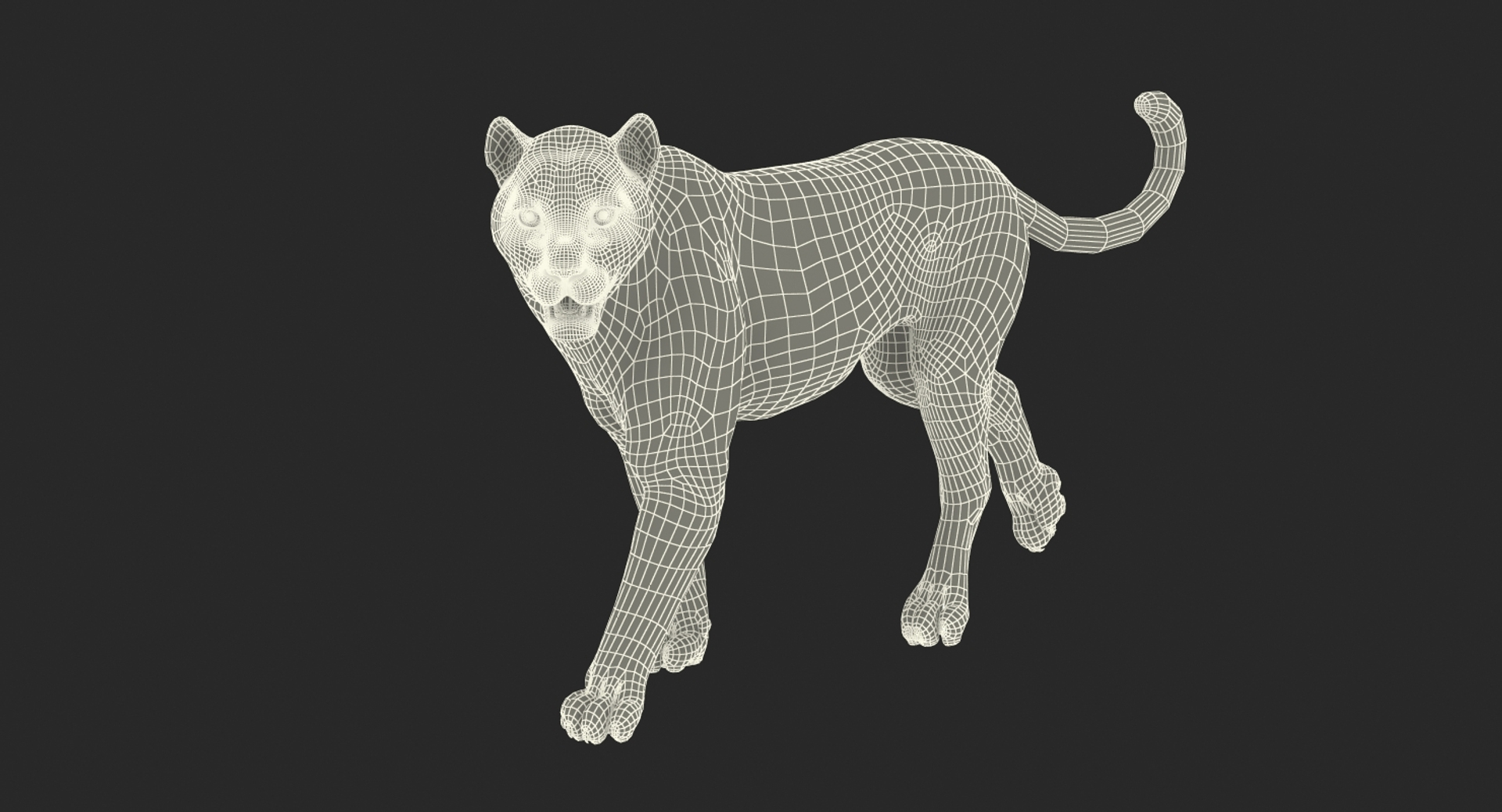 3D Leopard Walking Pose - TurboSquid 1297543