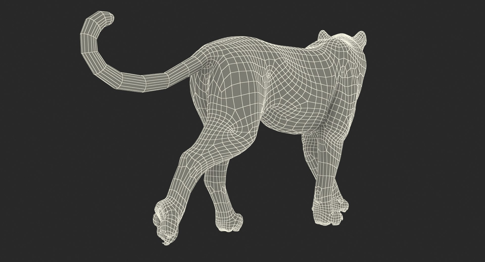 3D Leopard Walking Pose - TurboSquid 1297543