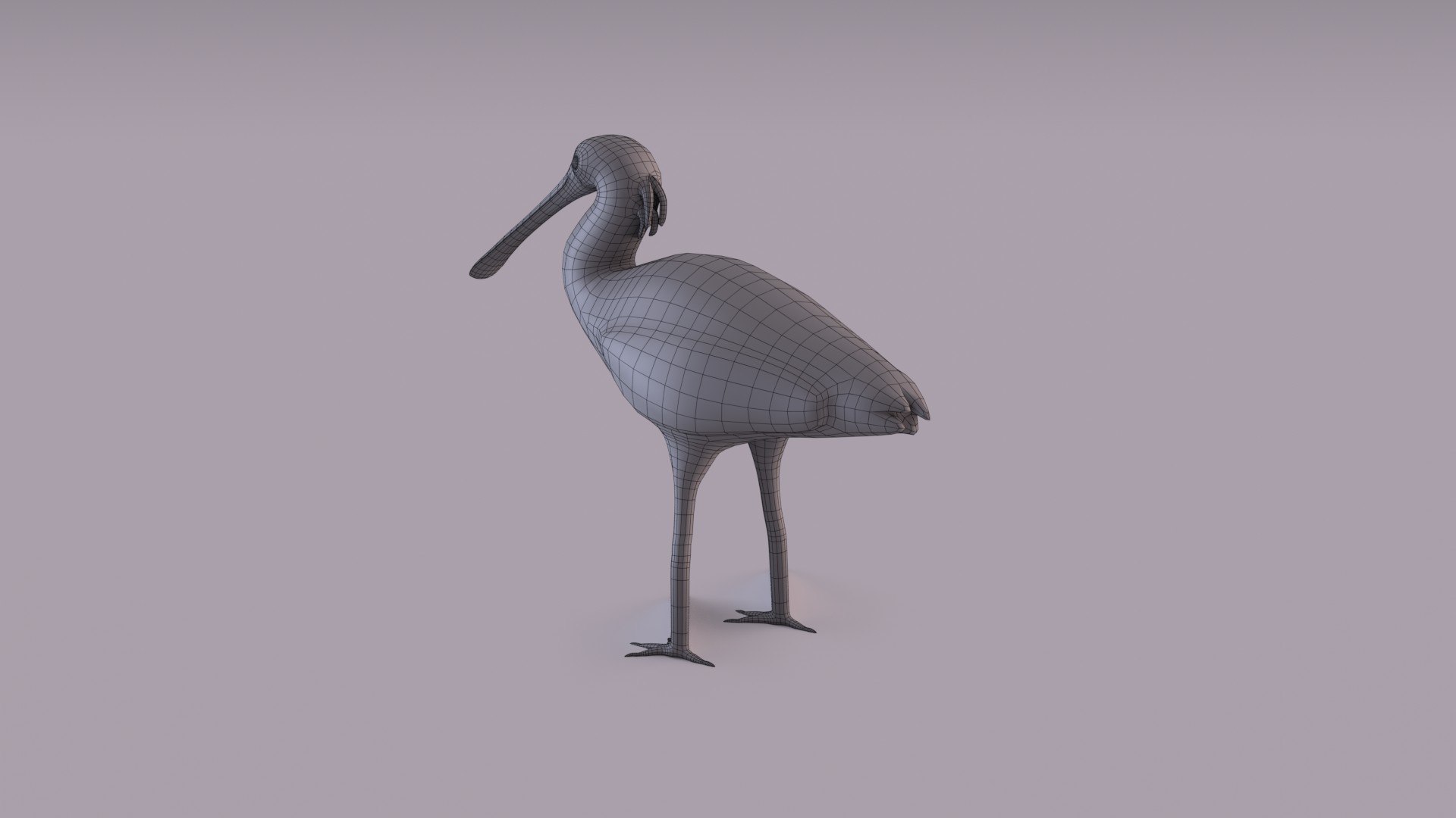 Eurasian Spoonbill 3d Model