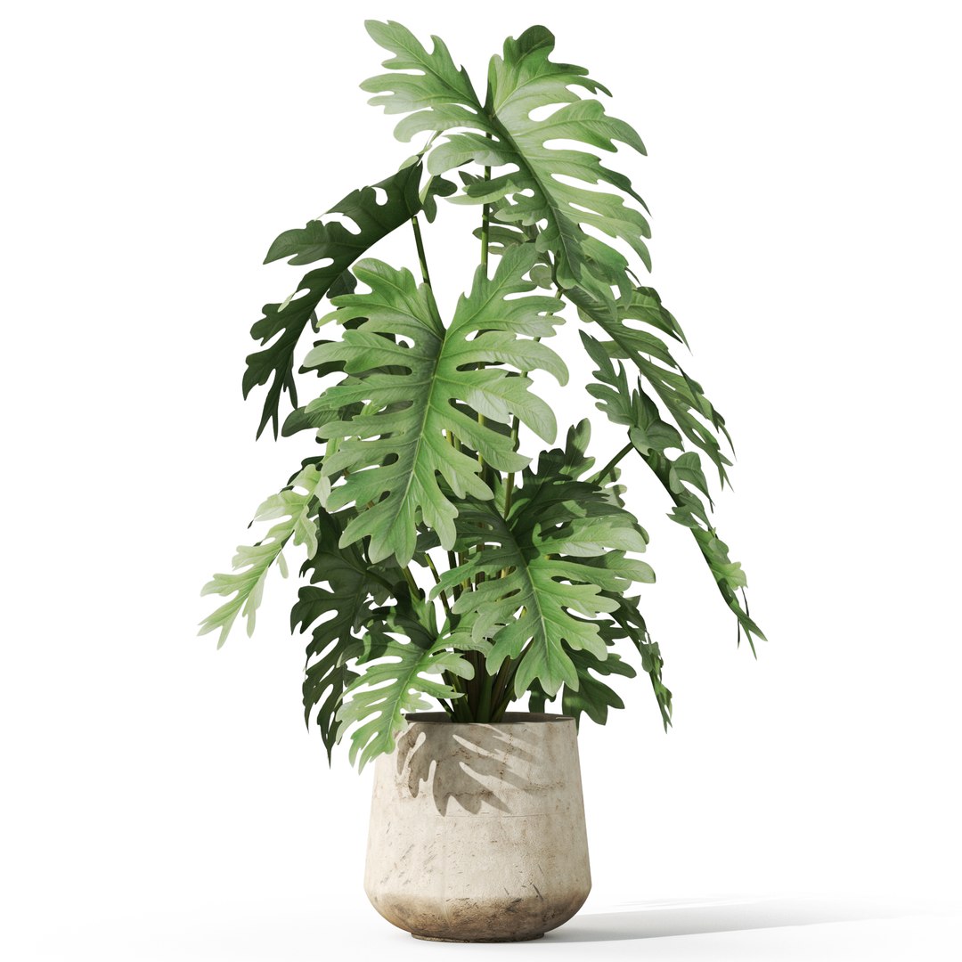 3D Plants Collection 1076 - TurboSquid 2214318