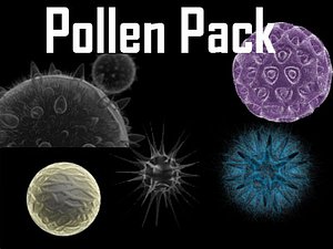 microscopic pollen bacteria cell 3d model