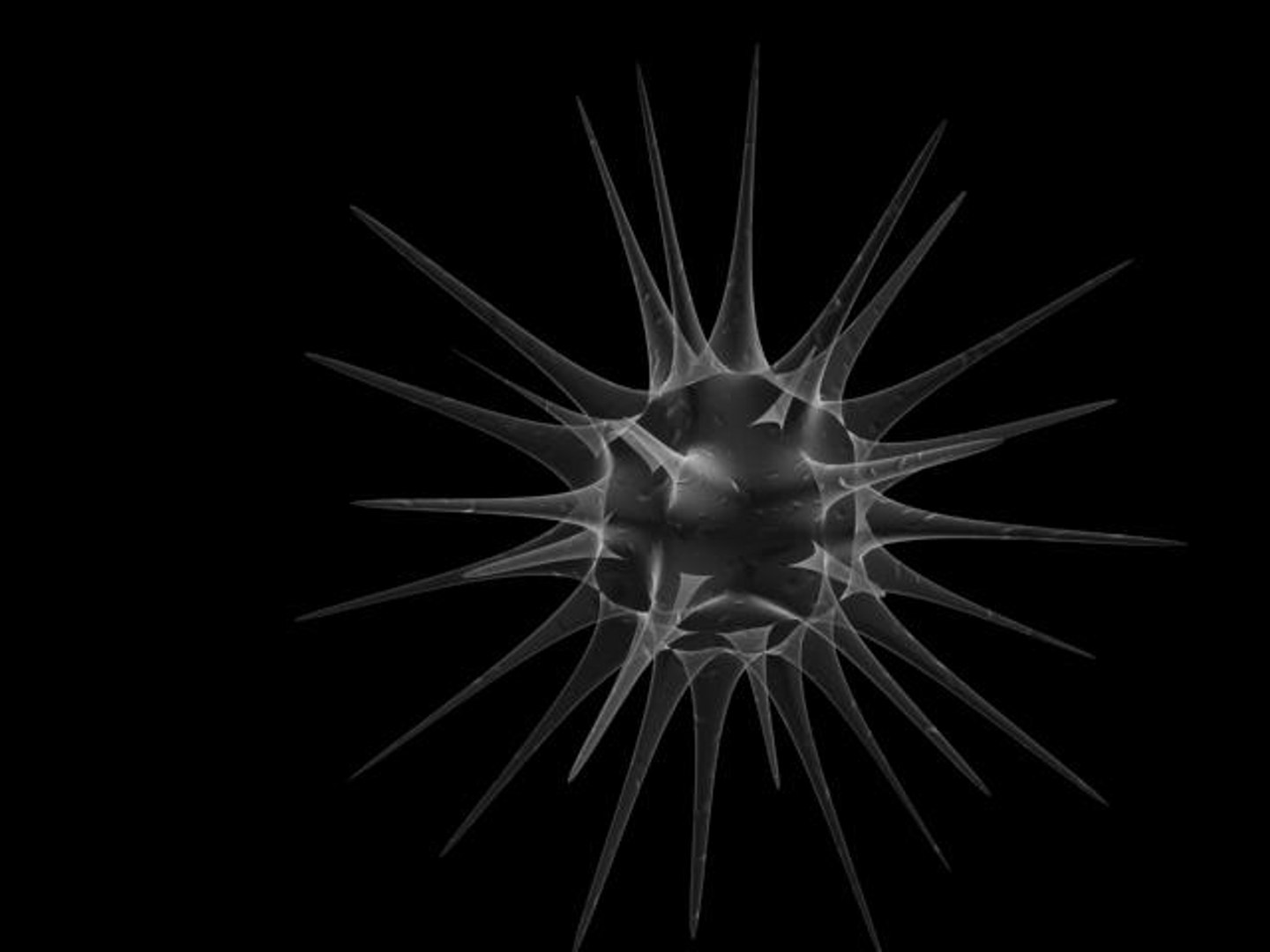 3d Model Pollen Cell