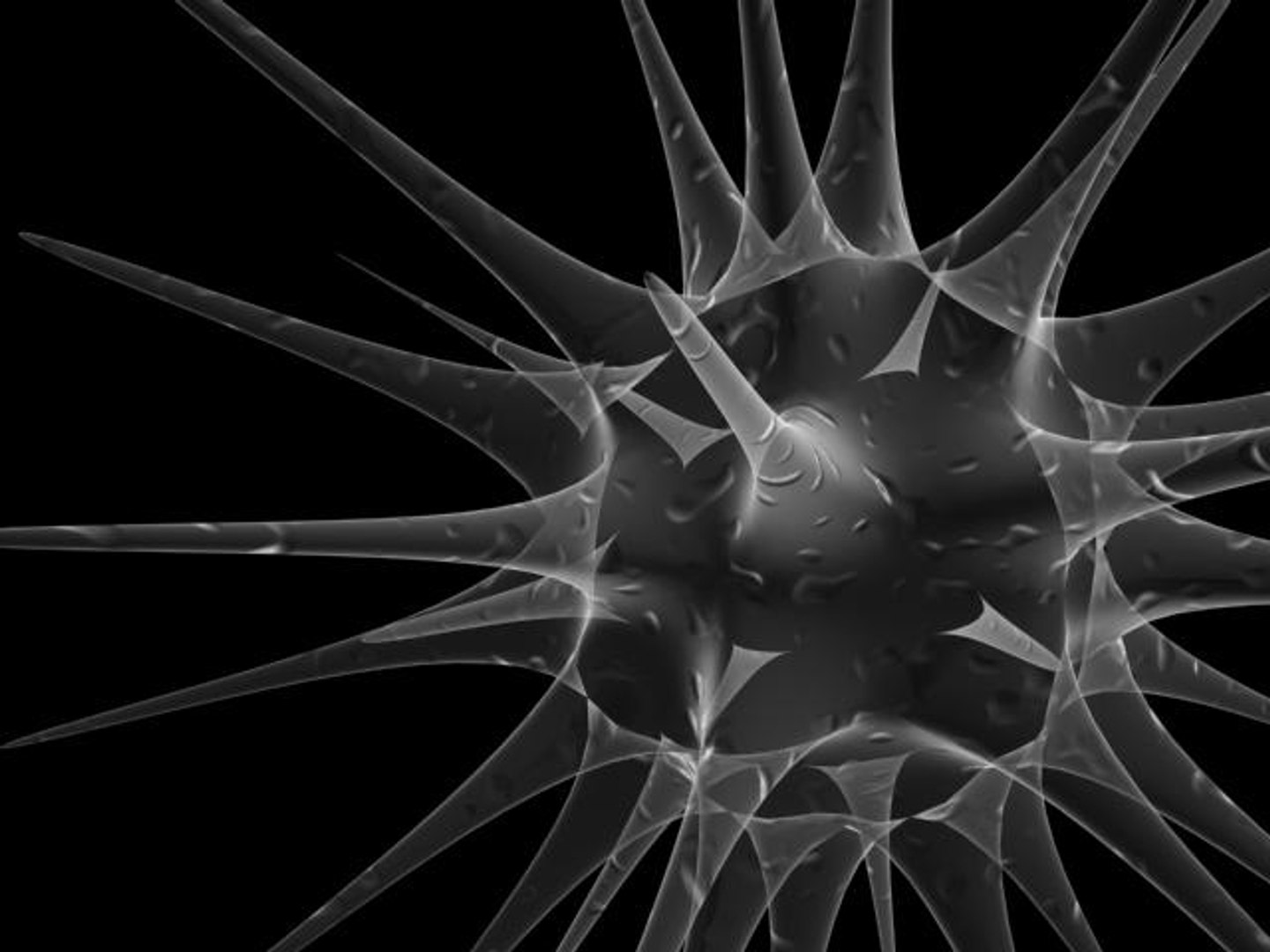 3d Model Pollen Cell