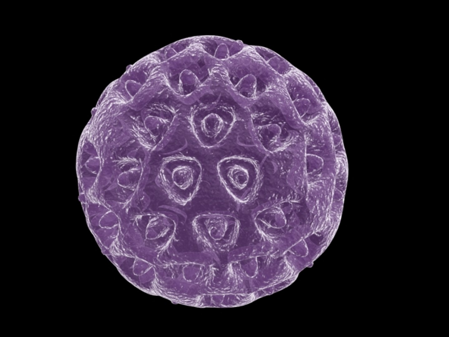 3d Model Pollen Cell