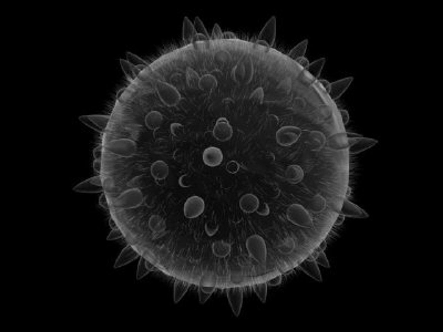 3d Model Pollen Cell