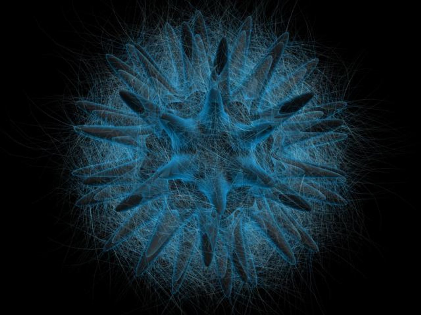 3d Model Pollen Cell