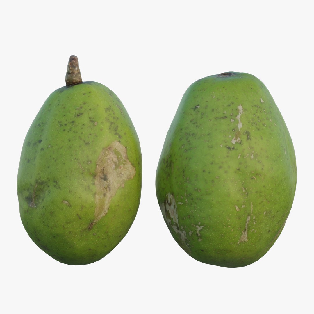 Ambarella 02 3D - TurboSquid 1916438