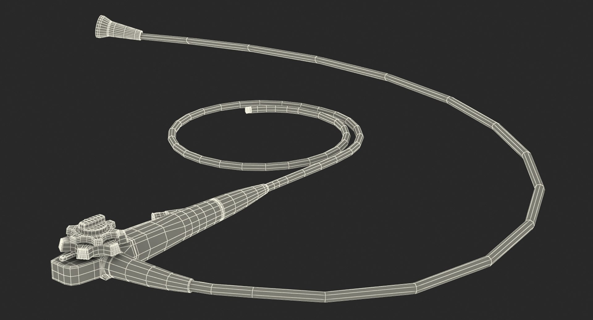 Endoscope 3D - TurboSquid 1245188
