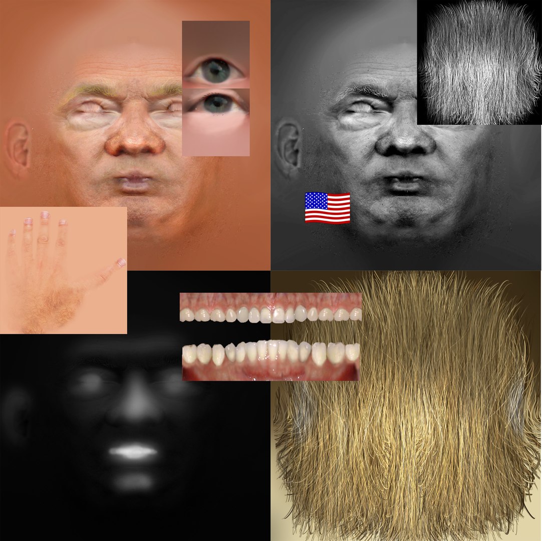 President Trump 3d Lwo