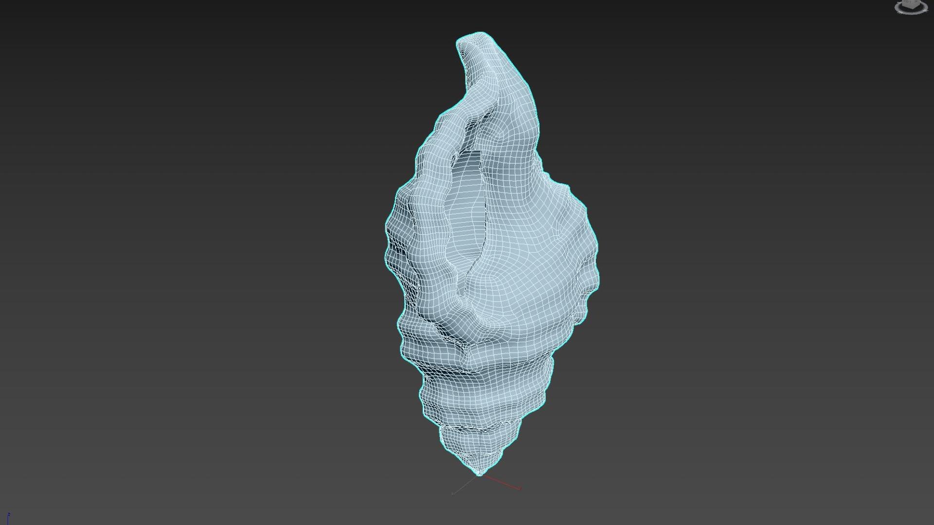 Seashell 3D Model - TurboSquid 1757655