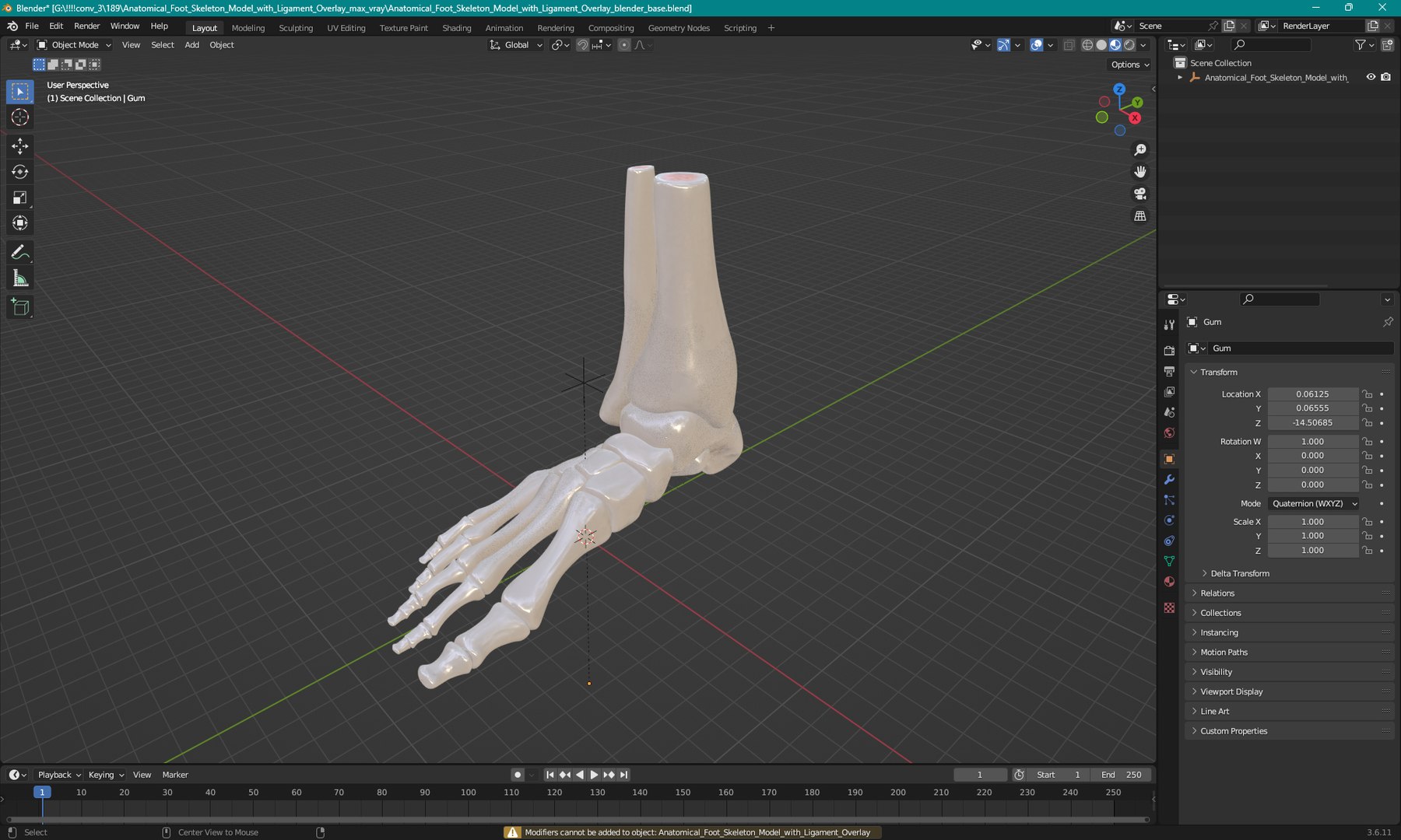 Anatomical Foot Skeleton Model With Ligament Overlay 3D Model ...