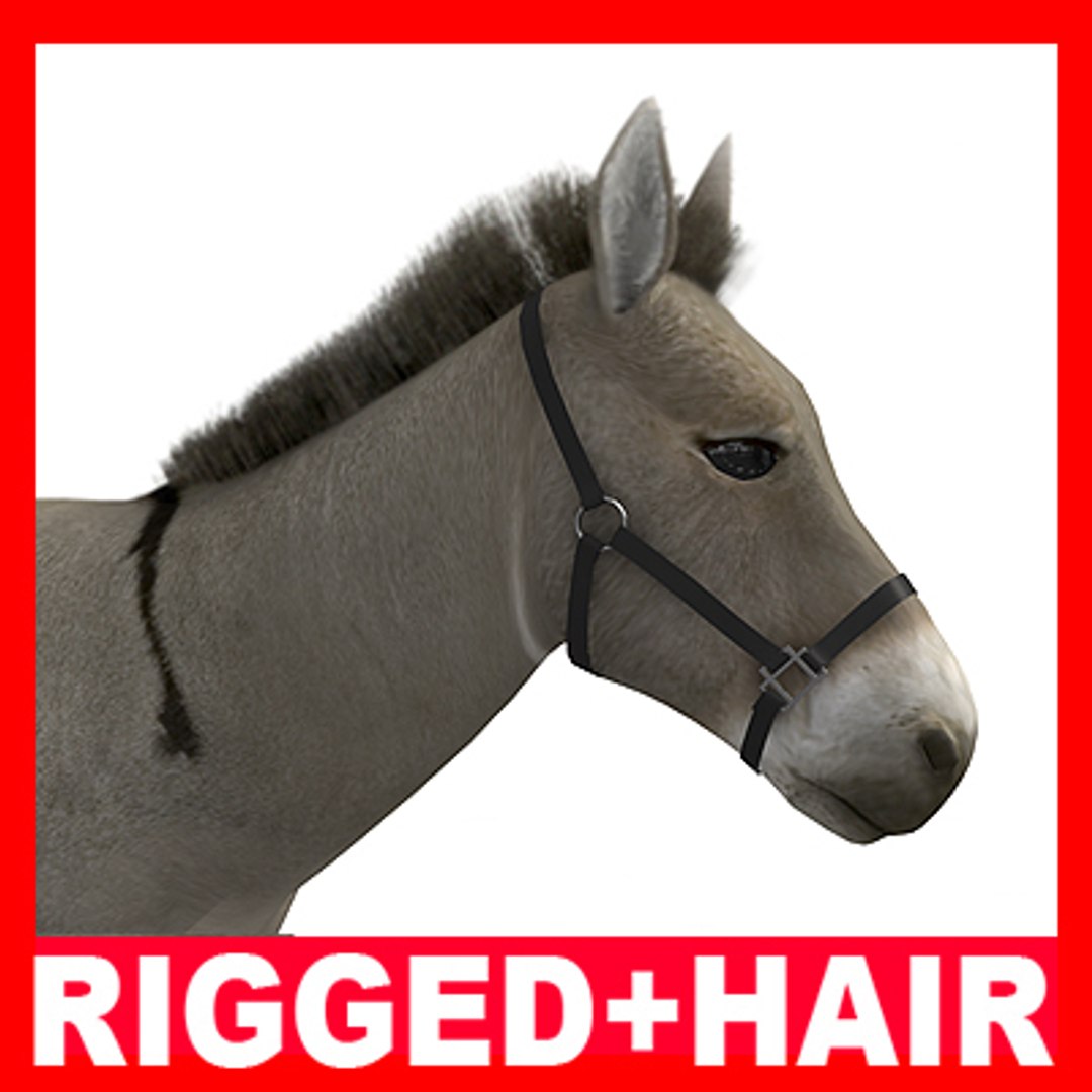 max donkey rigged hair