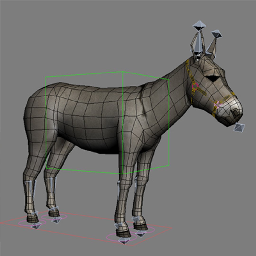 max donkey rigged hair