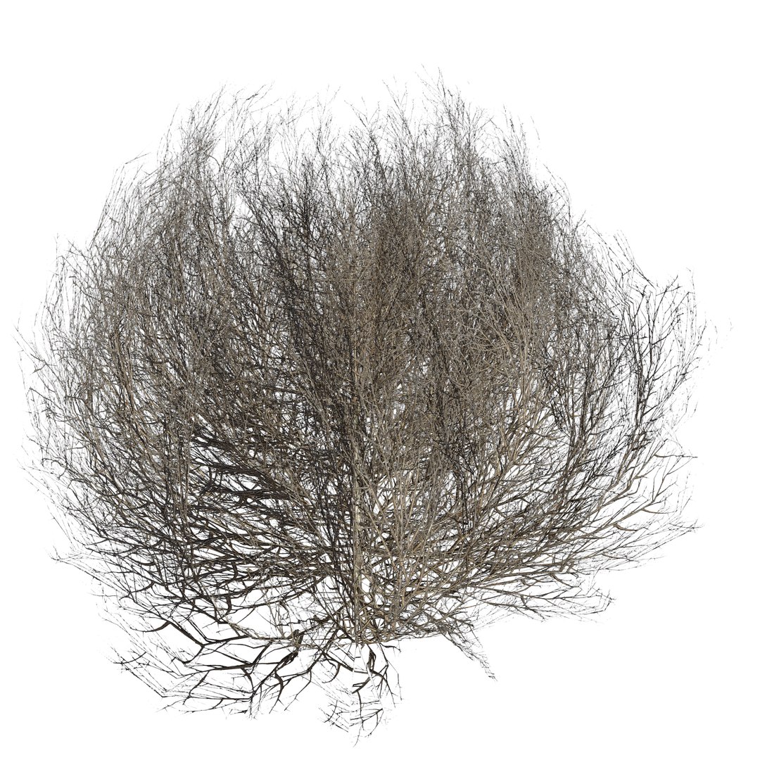 Tumbleweed Gaming Pbr Model - TurboSquid 1399427