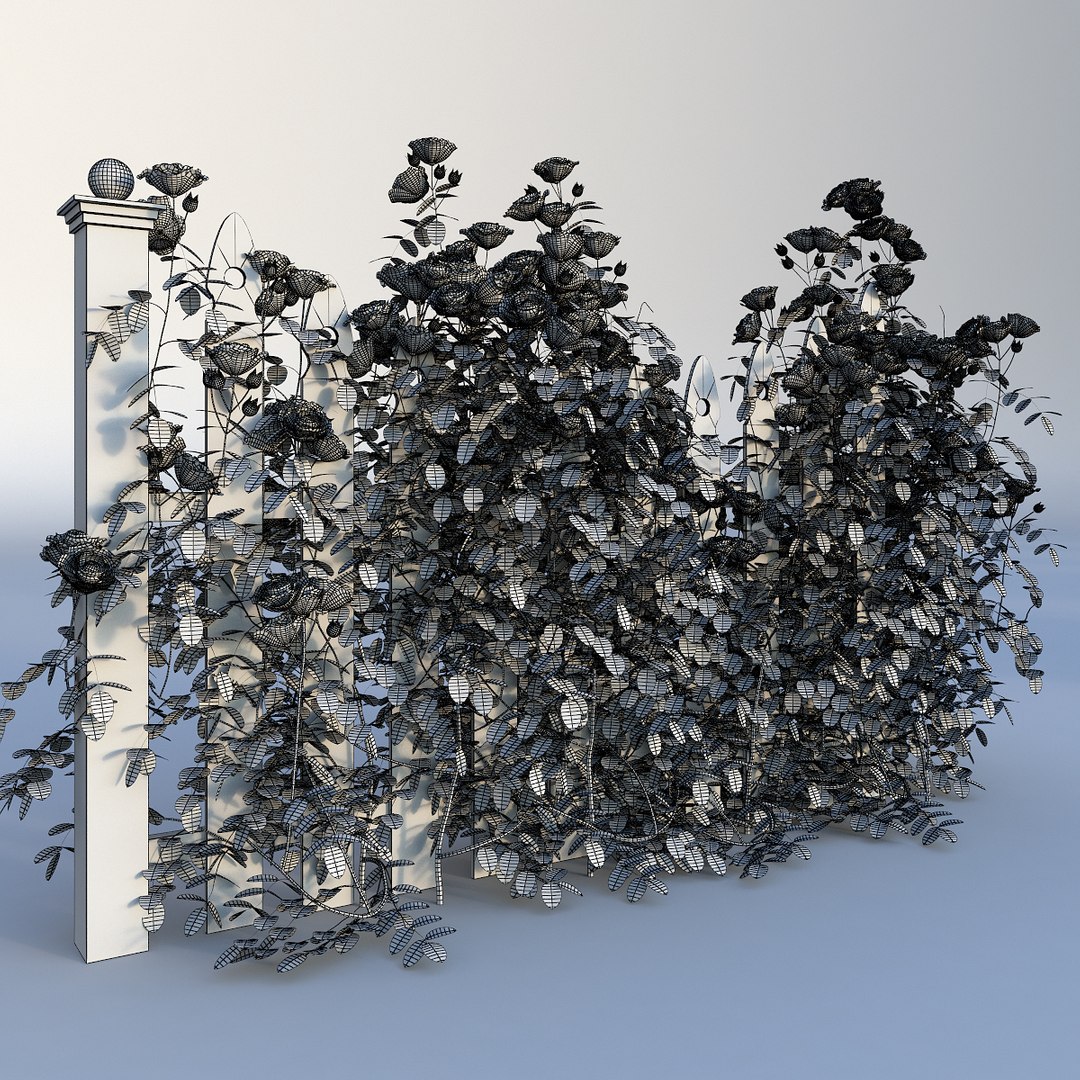 Set Rose Fences 3d Model
