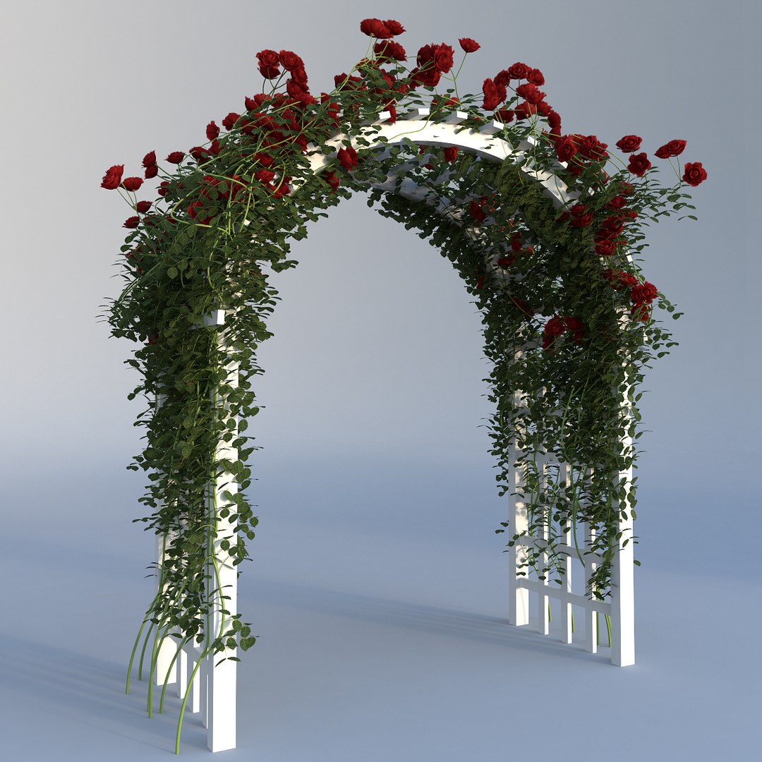 Set Rose Fences 3d Model