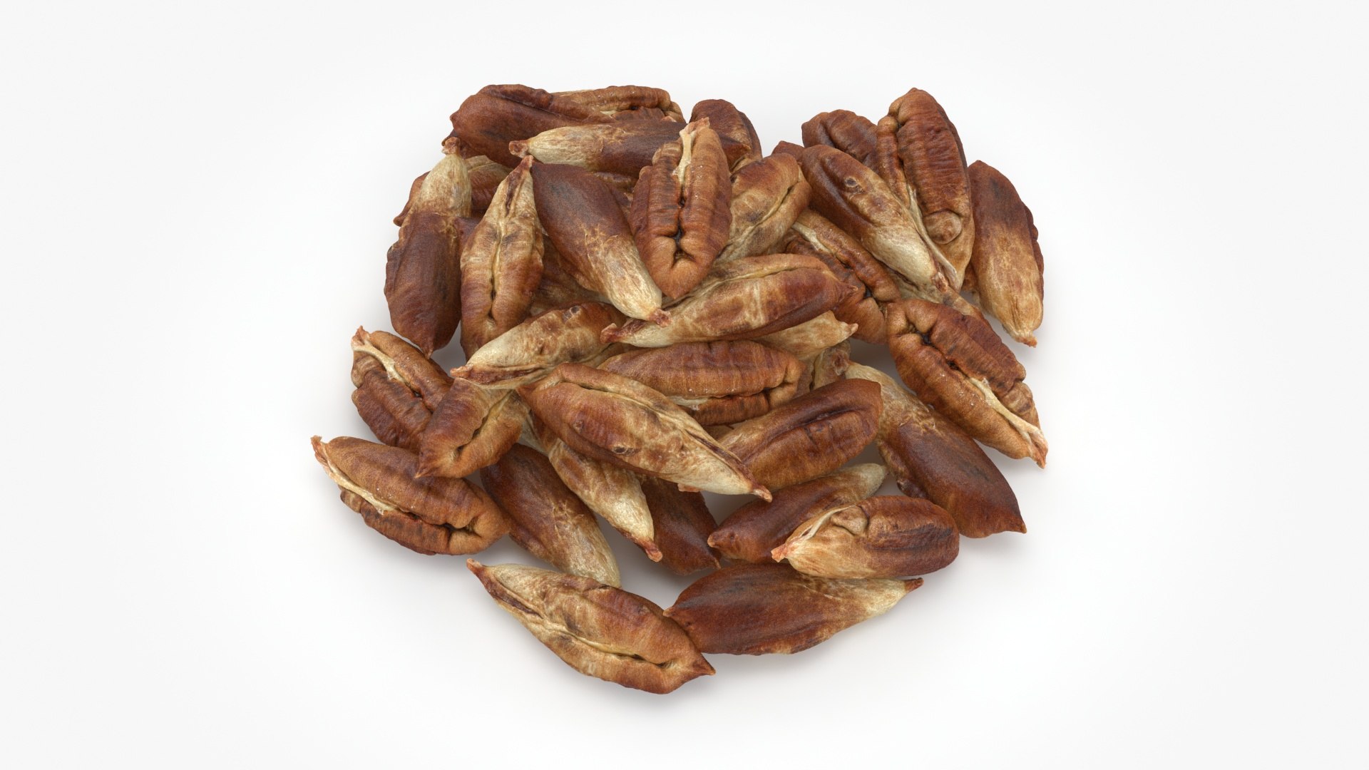 3D Date Palm Seeds - TurboSquid 2143521