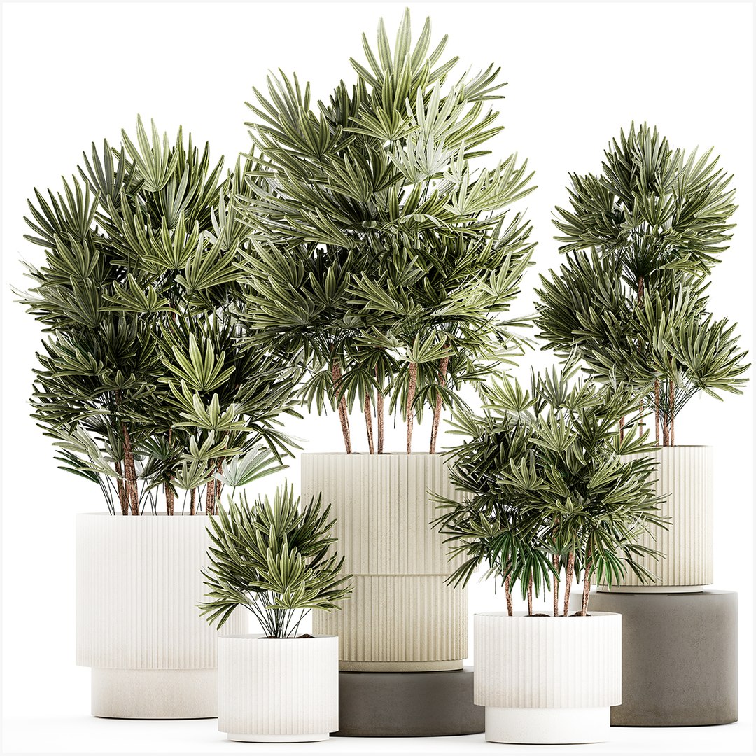 Set Of Small Plants In Modern Raphis Palm Pots 1453 3D Model ...