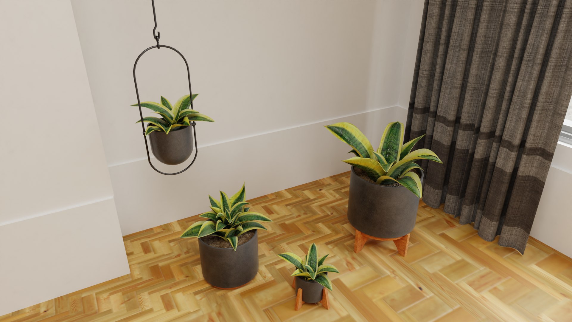 Snake Plants Collection Plants Vol 01 3D Model - TurboSquid 1909236