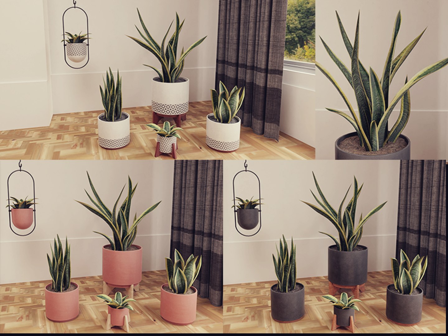 Snake Plants Collection Plants Vol 01 3D Model - TurboSquid 1909236