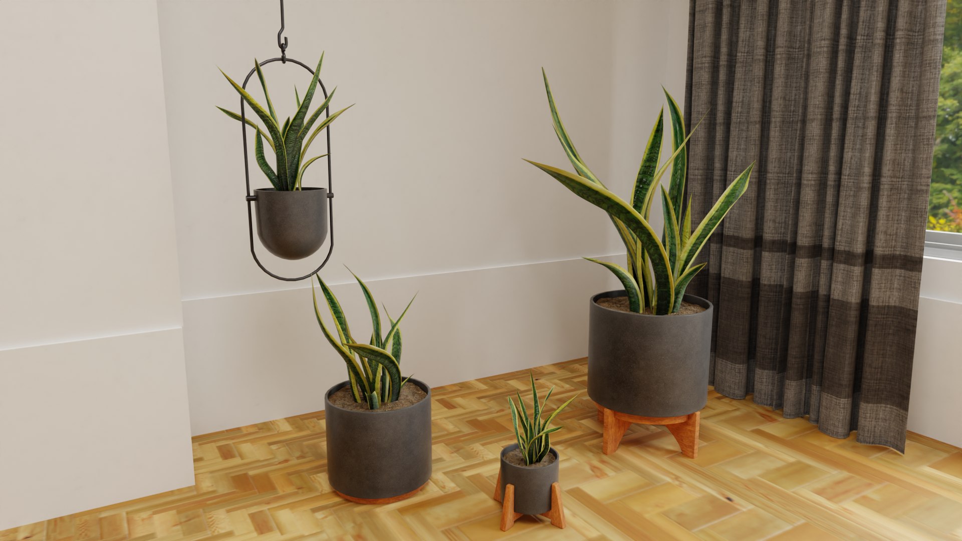 Snake Plants Collection Plants Vol 01 3D Model - TurboSquid 1909236