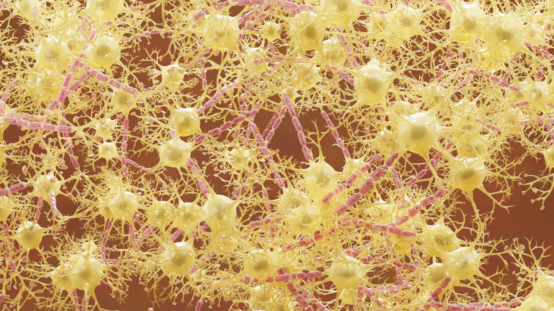 3D Neural Network 2 - TurboSquid 1770181