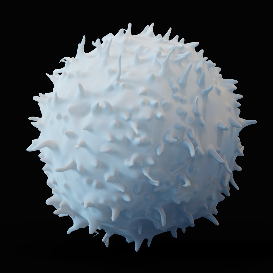 3D Model Lymphocyte Blood Cells - TurboSquid 1494158