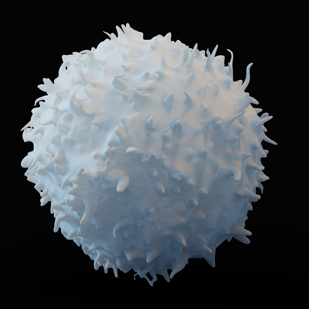3D Model Lymphocyte Blood Cells - TurboSquid 1494158