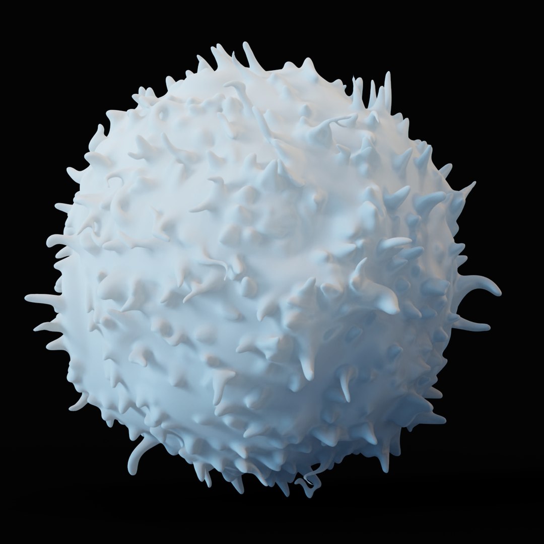 3D Model Lymphocyte Blood Cells - TurboSquid 1494158