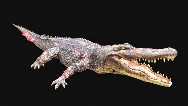 Low Poly Alligator 3D Animal - Ready for Games 22 Animations 3D 모델 ...