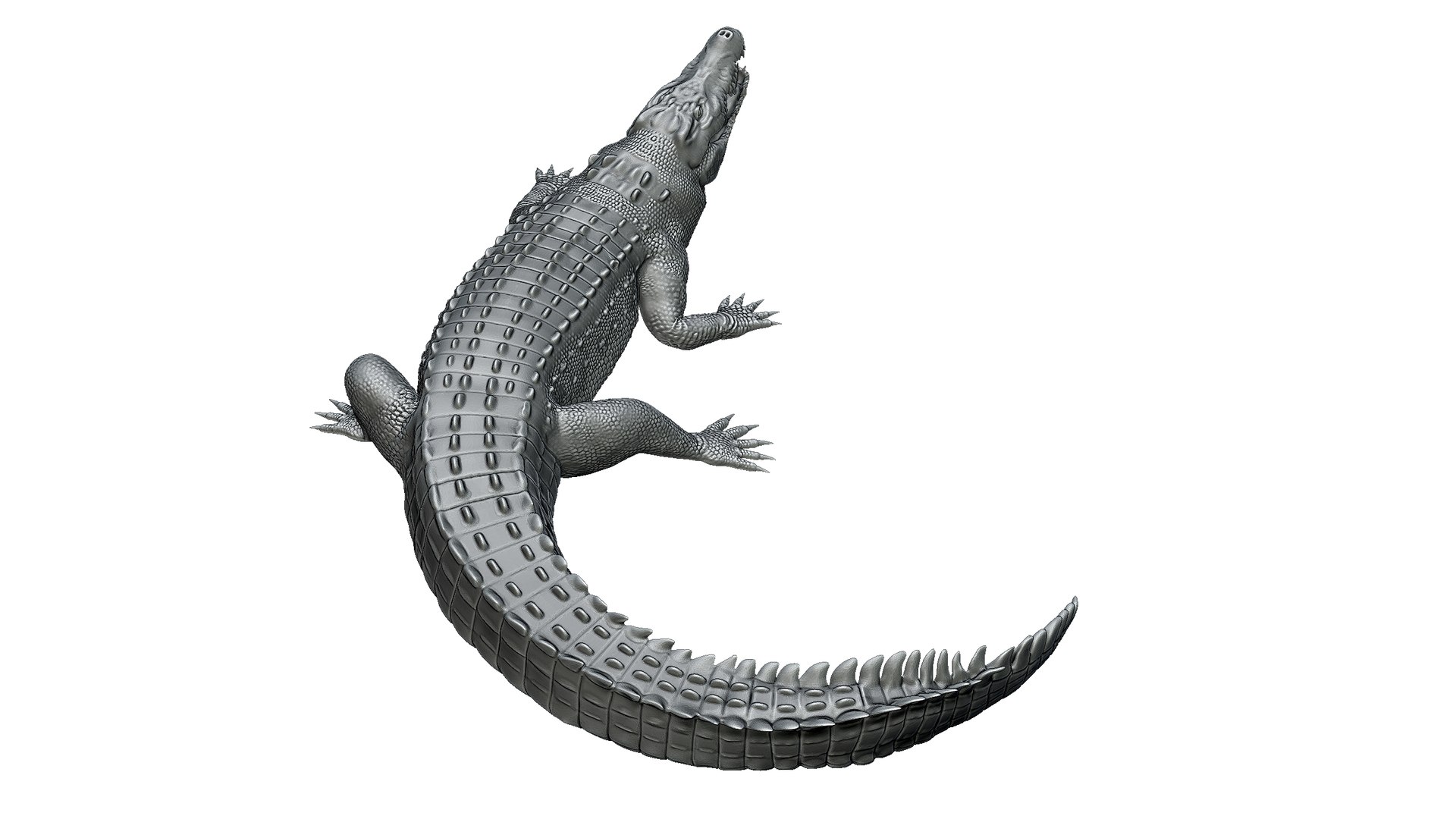 3D Hight Detailed Crocodile Model - TurboSquid 2282955