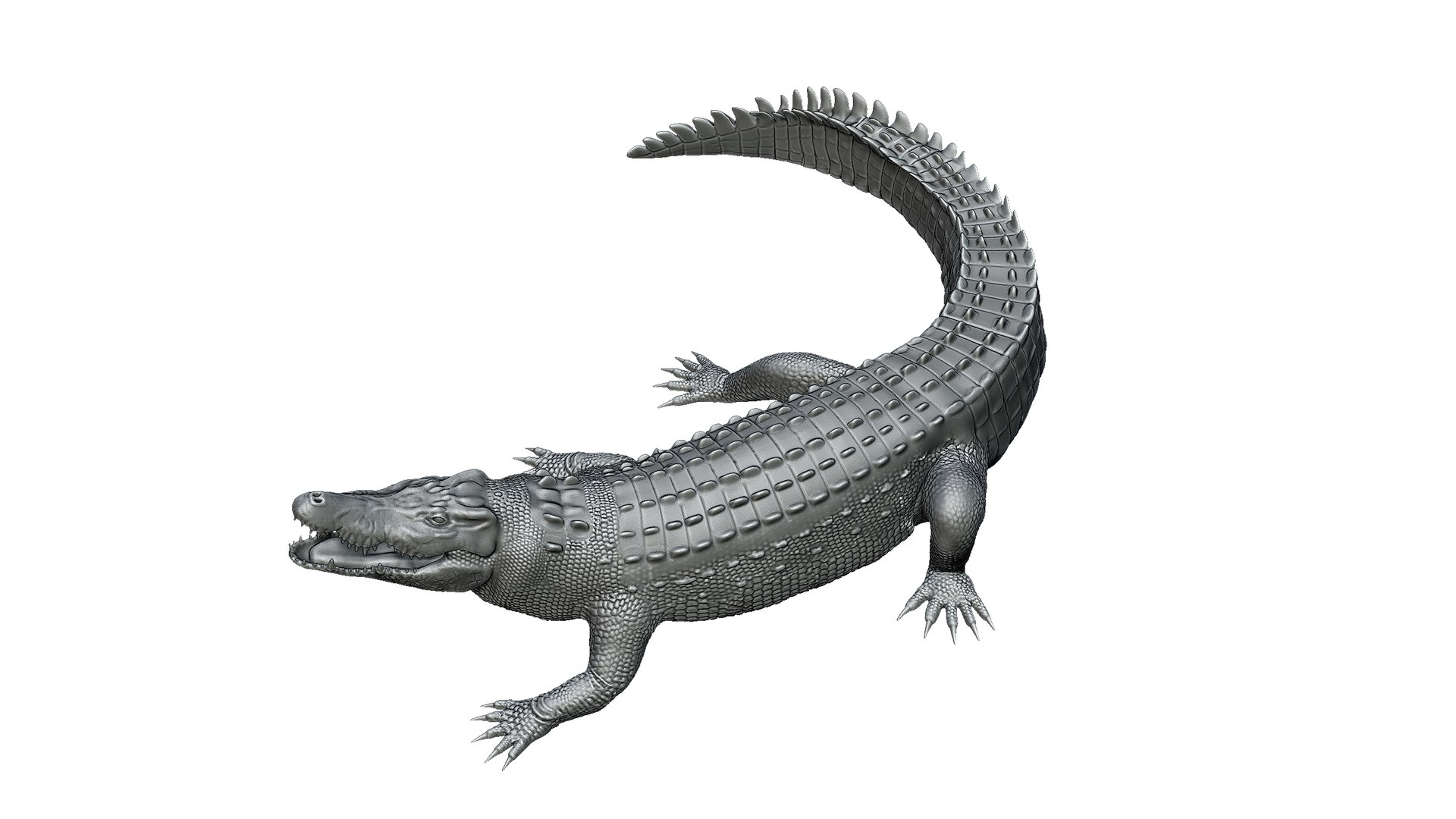3D Hight Detailed Crocodile Model - TurboSquid 2282955