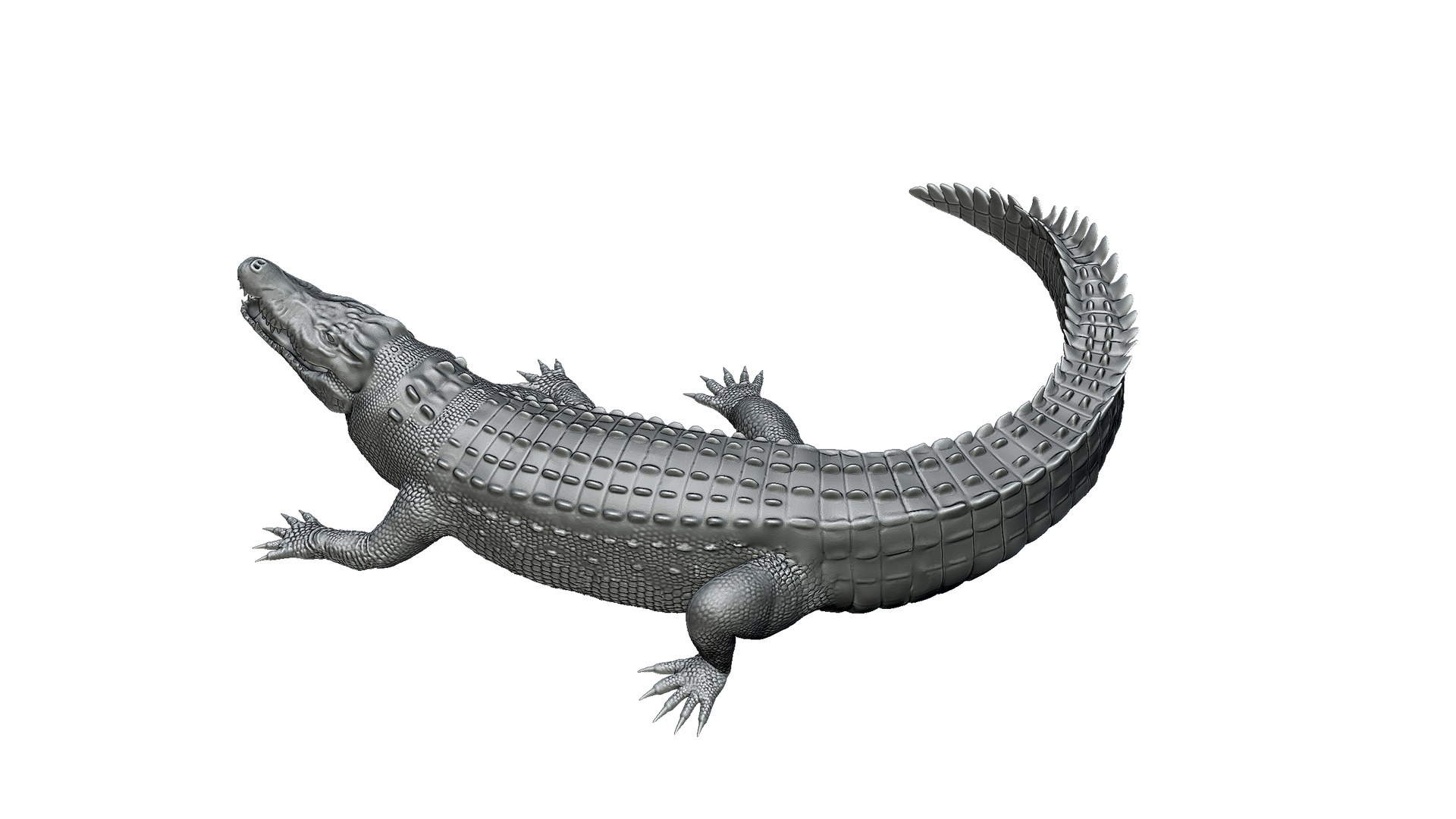 3D Hight Detailed Crocodile Model - TurboSquid 2282955
