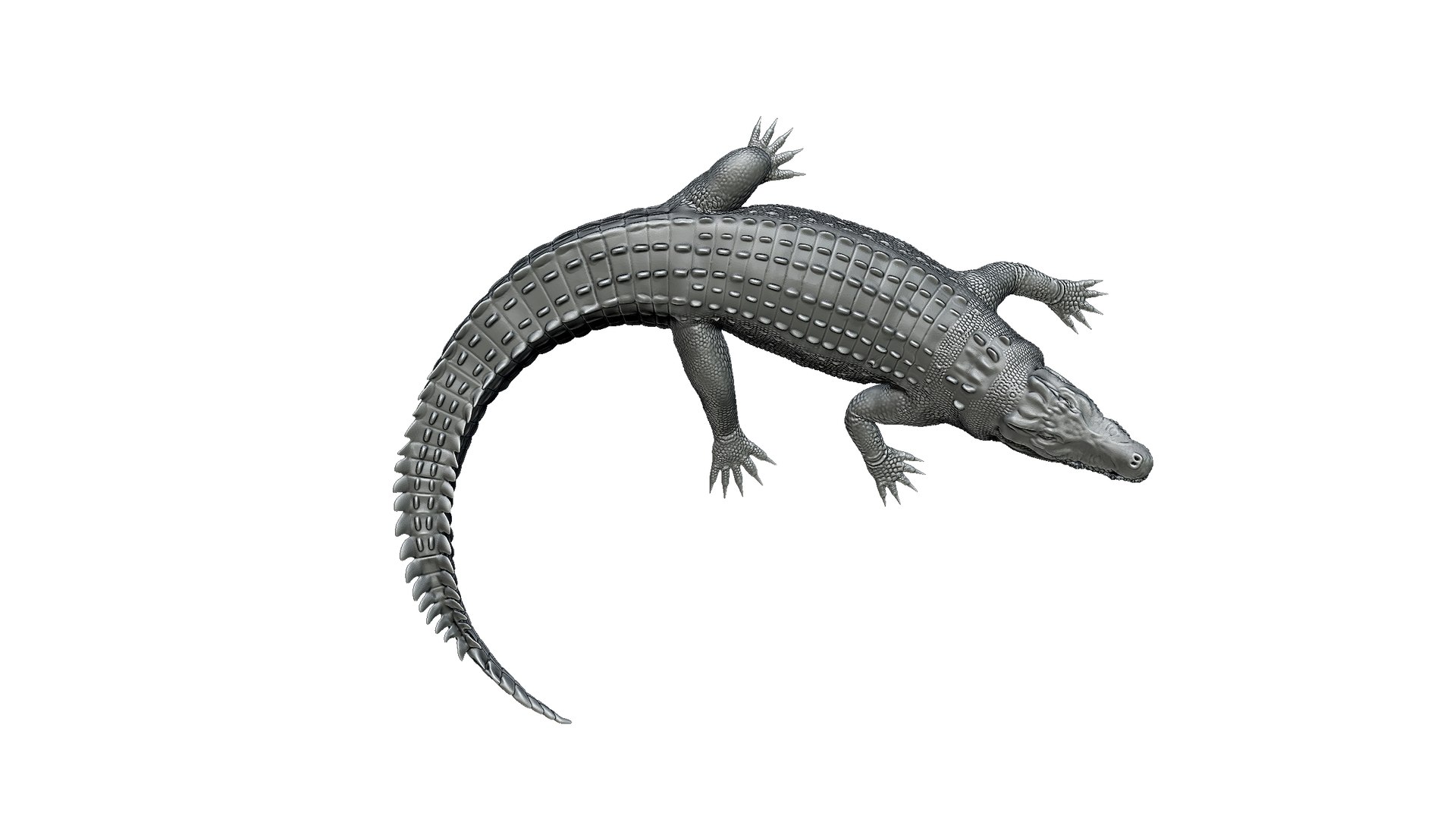 3D Hight Detailed Crocodile Model - TurboSquid 2282955