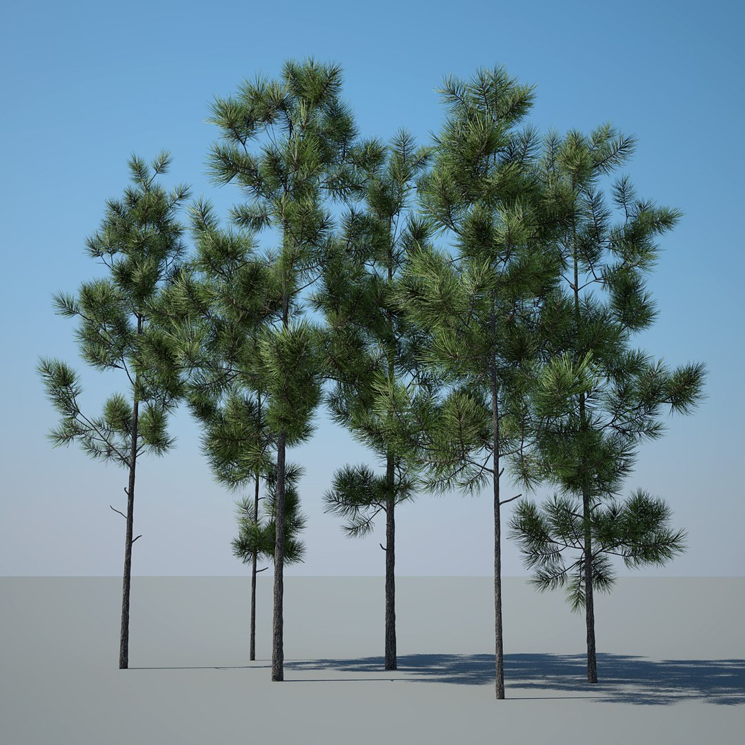3D Pine Trees - TurboSquid 1288901