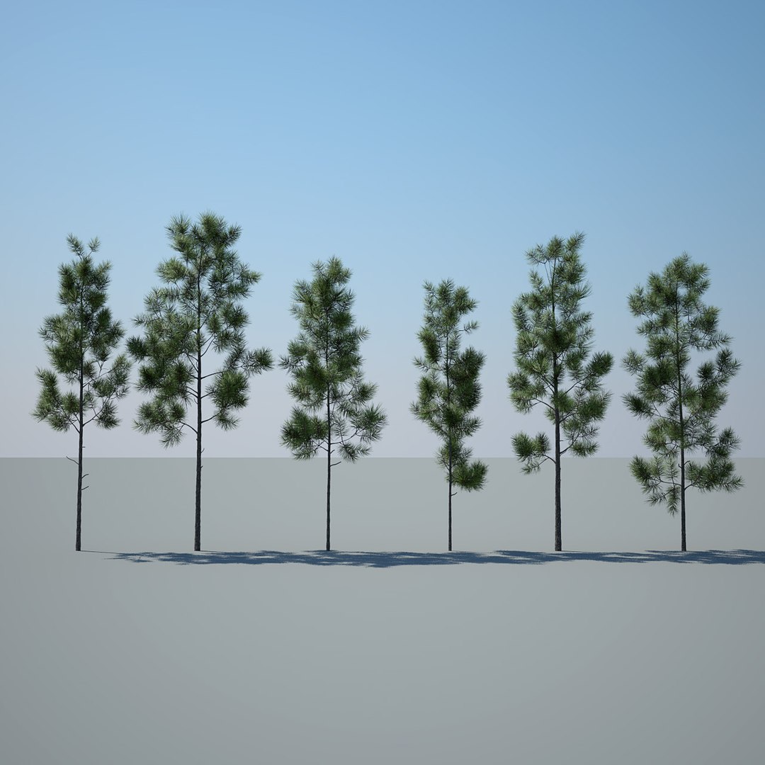 3D Pine Trees - TurboSquid 1288901