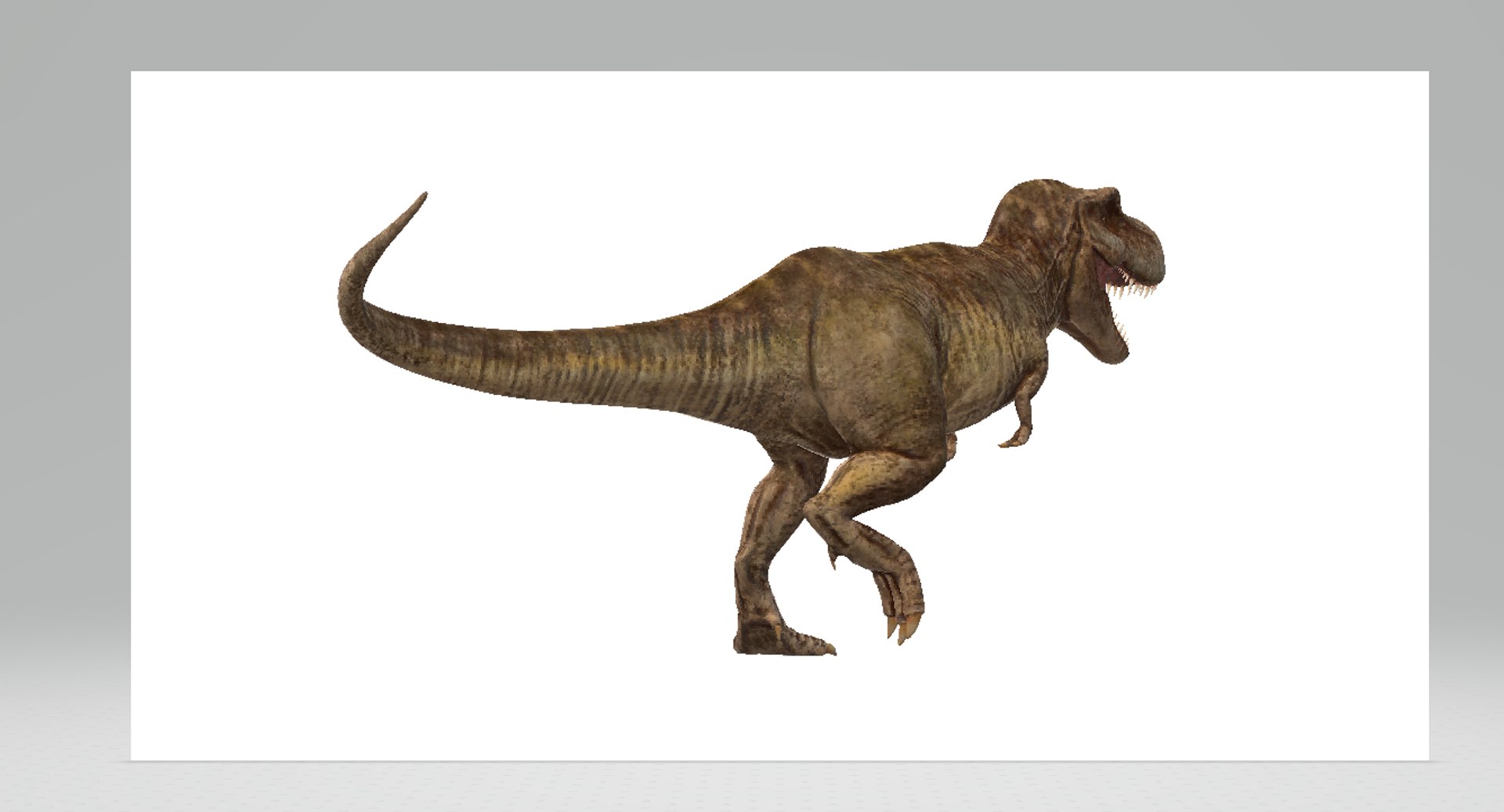 3D Model Tyrannosaurus Dinosaur Rex - TurboSquid 1237748