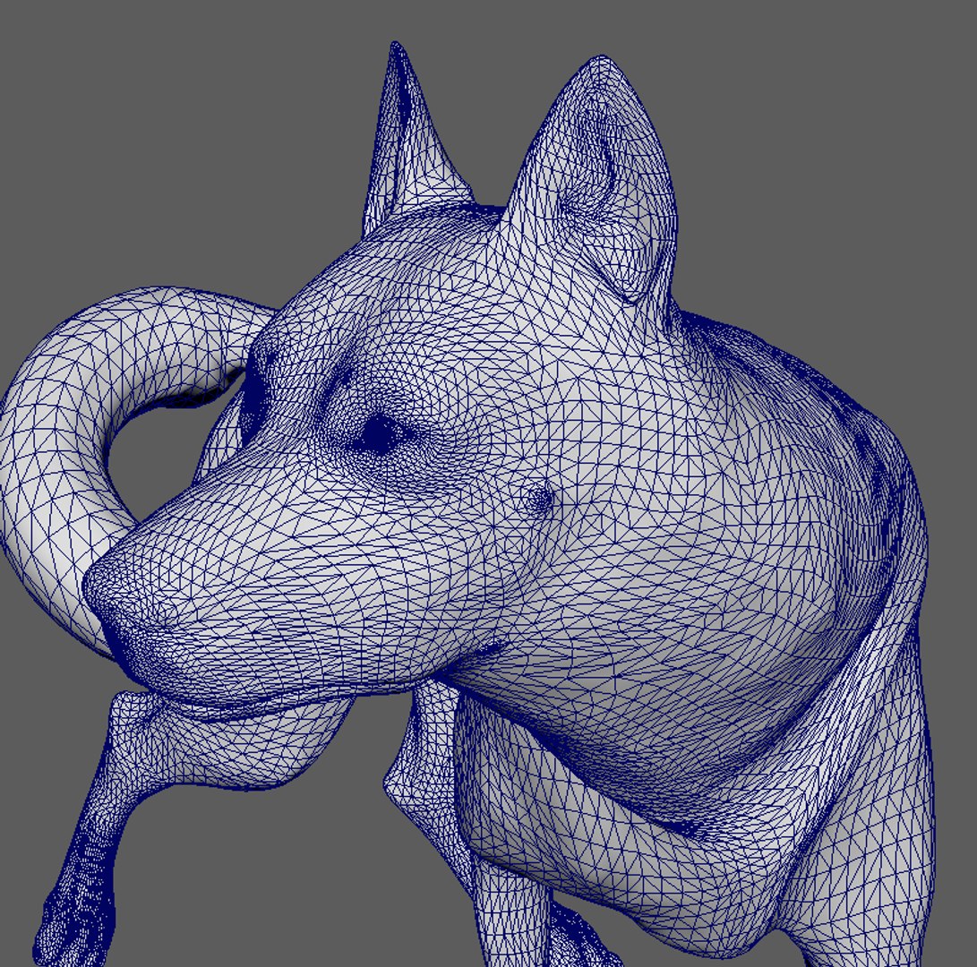 Wolf Animal Wildlife 3D Model - TurboSquid 1284488