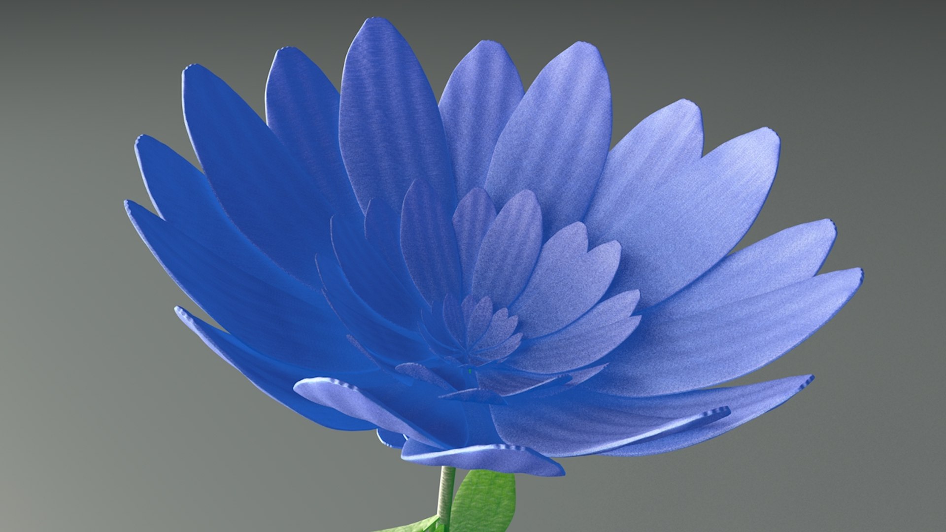 3D Rising Flower Model - TurboSquid 1231159