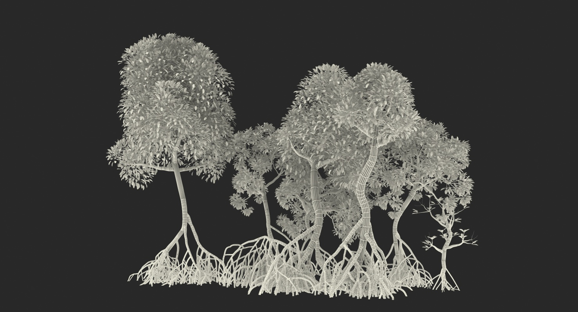 Mangrove Tree Shrub 3D Model - TurboSquid 1400530