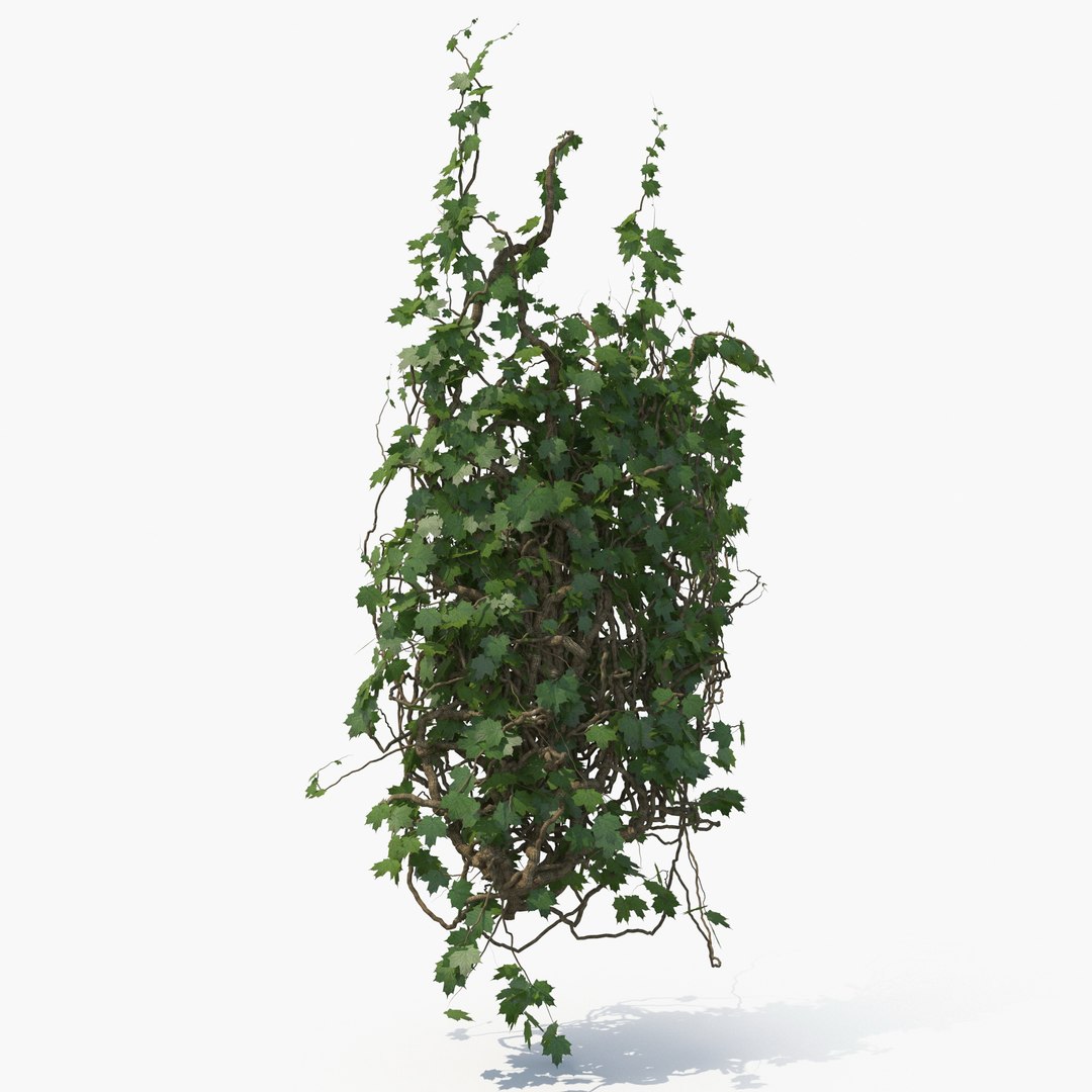 3D Realistic Ivy Column - TurboSquid 1151660