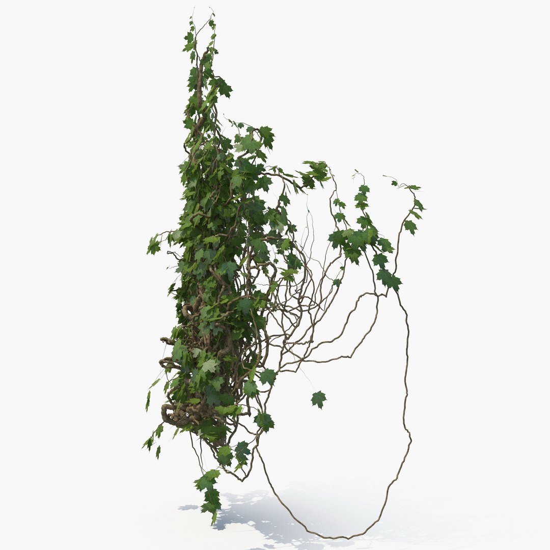 3D Realistic Ivy Column - TurboSquid 1151660