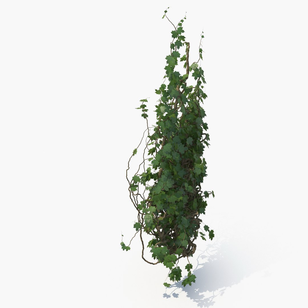 3D Realistic Ivy Column - TurboSquid 1151660