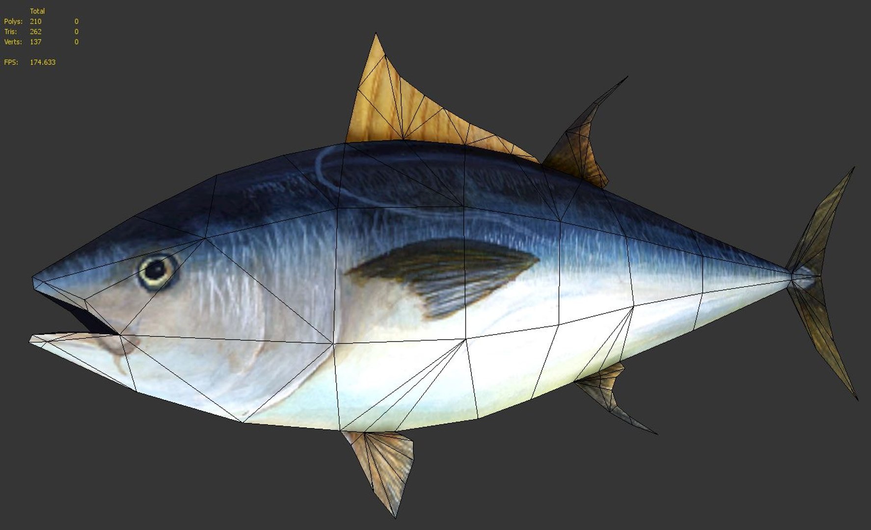 Free 3D Atlantic Bluefin - TurboSquid 1416066