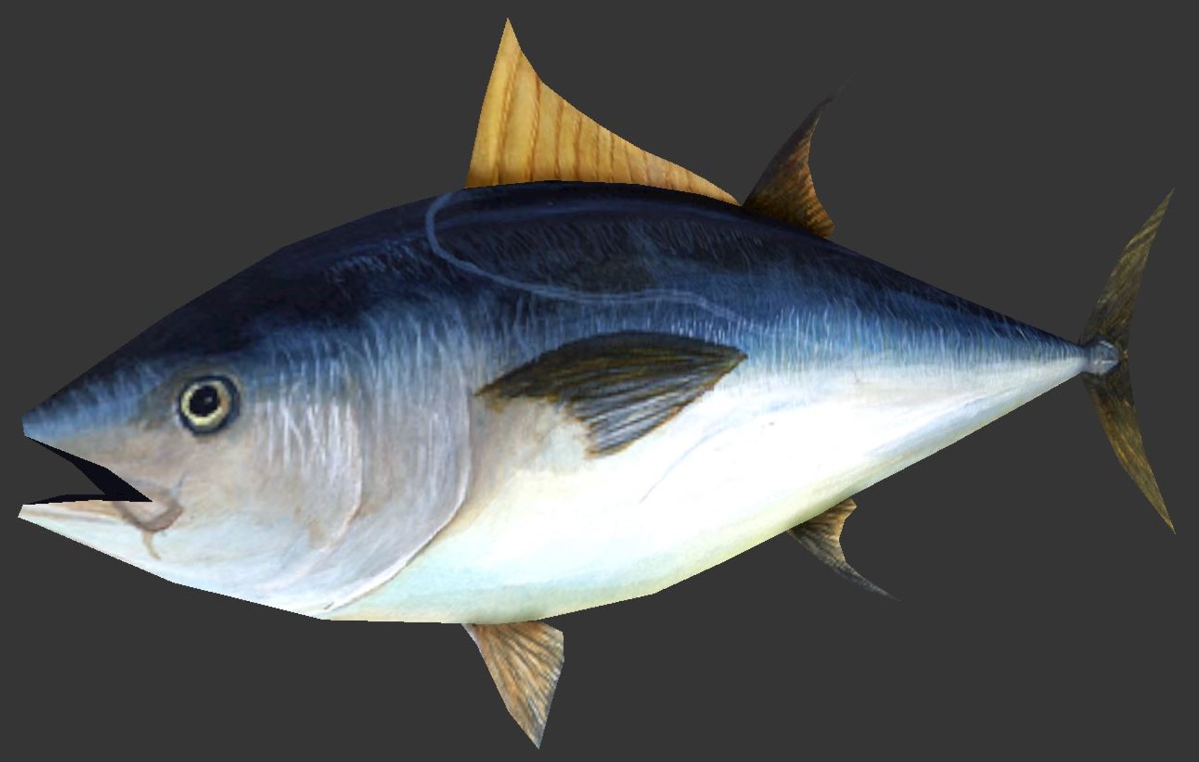 Free 3D Atlantic Bluefin - TurboSquid 1416066